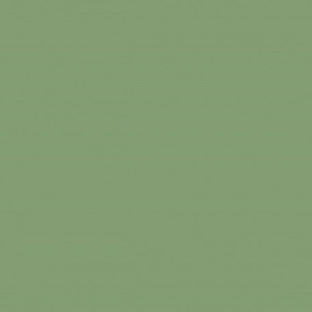 Farrow & Ball No 80 Saxon Green – The Aerosol Expert