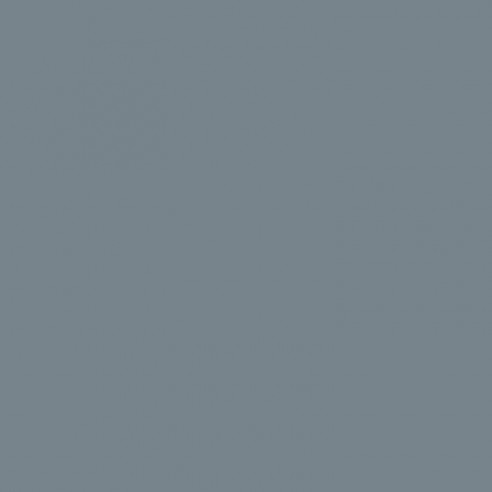 RAL 7000 Squirrel Grey – The Aerosol Expert