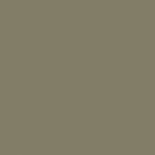 RAL 7002 Olive Grey – The Aerosol Expert