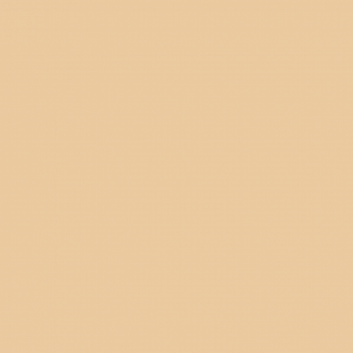 British Standard BS 381C 388 Beige – The Aerosol Expert