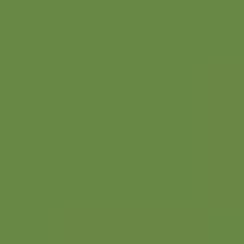 British Standard BS 381C 218 Grass Green – The Aerosol Expert