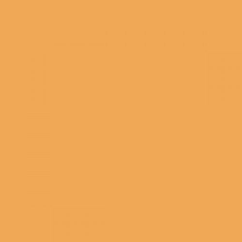 British Standard BS 4800 06-D-41 Orange – The Aerosol Expert