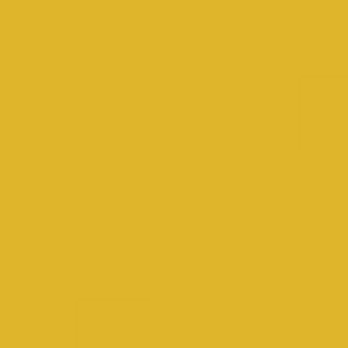 British Standard BS 4800 10-E-55 Canary Yellow – The Aerosol Expert