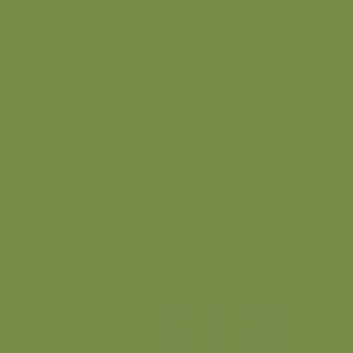 British Standard BS 4800 12-C-37 Green – The Aerosol Expert