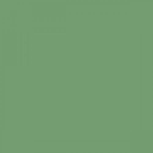 British Standard BS 4800 14-D-41 Green – The Aerosol Expert