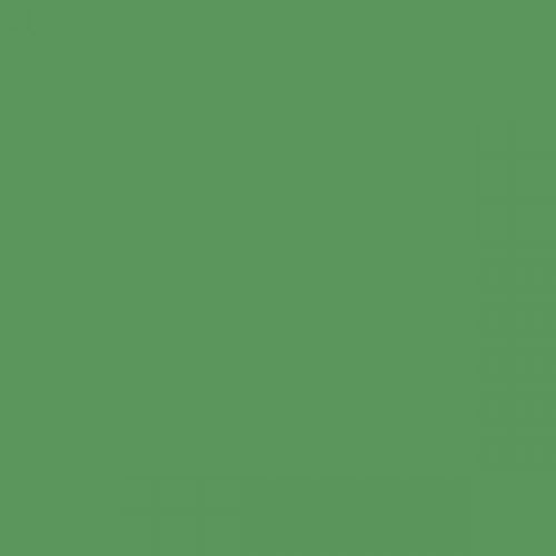 British Standard BS 4800 14-D-43 Green – The Aerosol Expert