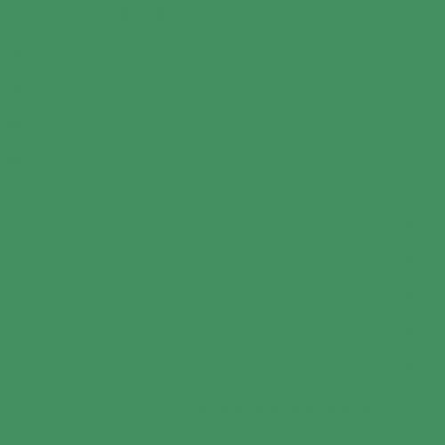 British Standard BS 4800 16-D-43 Green – The Aerosol Expert