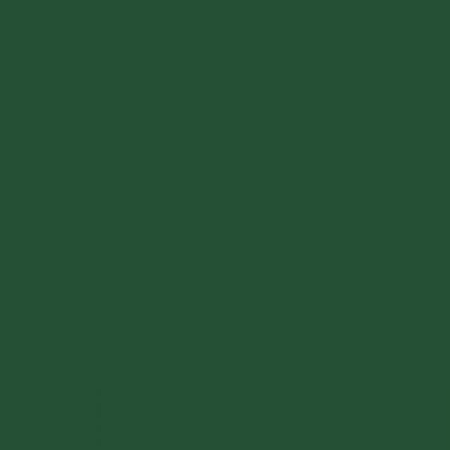 British Standard BS 4800 16-D-45 Green Blue – The Aerosol Expert